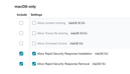 Everything You Need to Know About Apple’s First-Ever Rapid Security ...